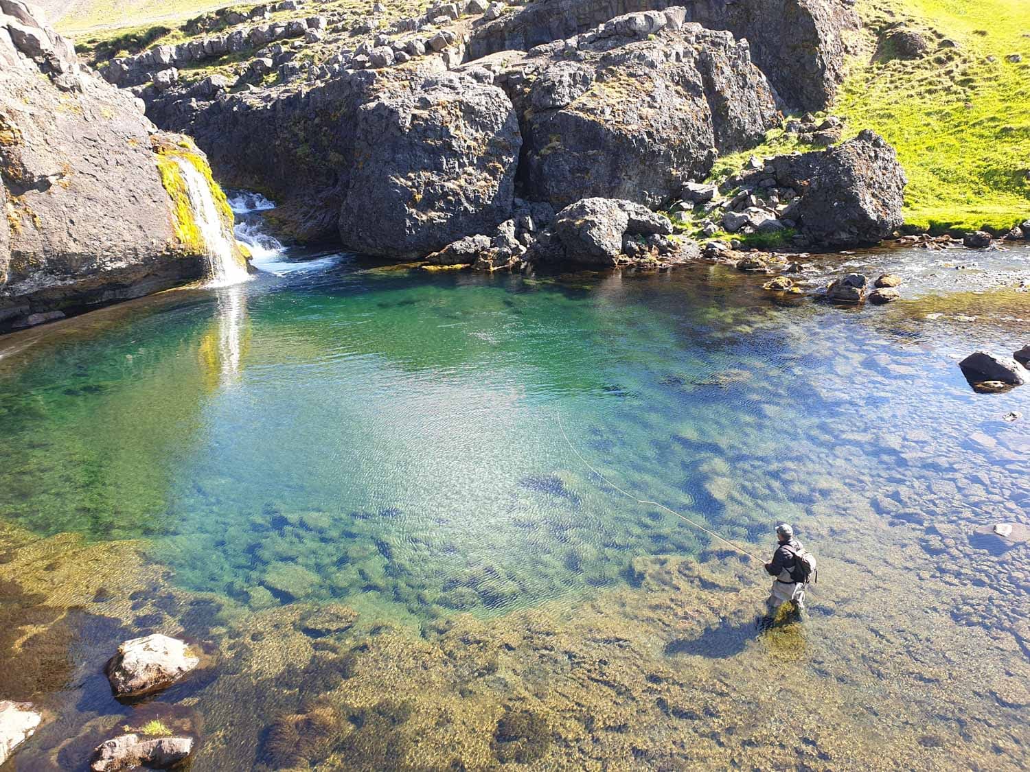 Salmon – Iceland Outfitters